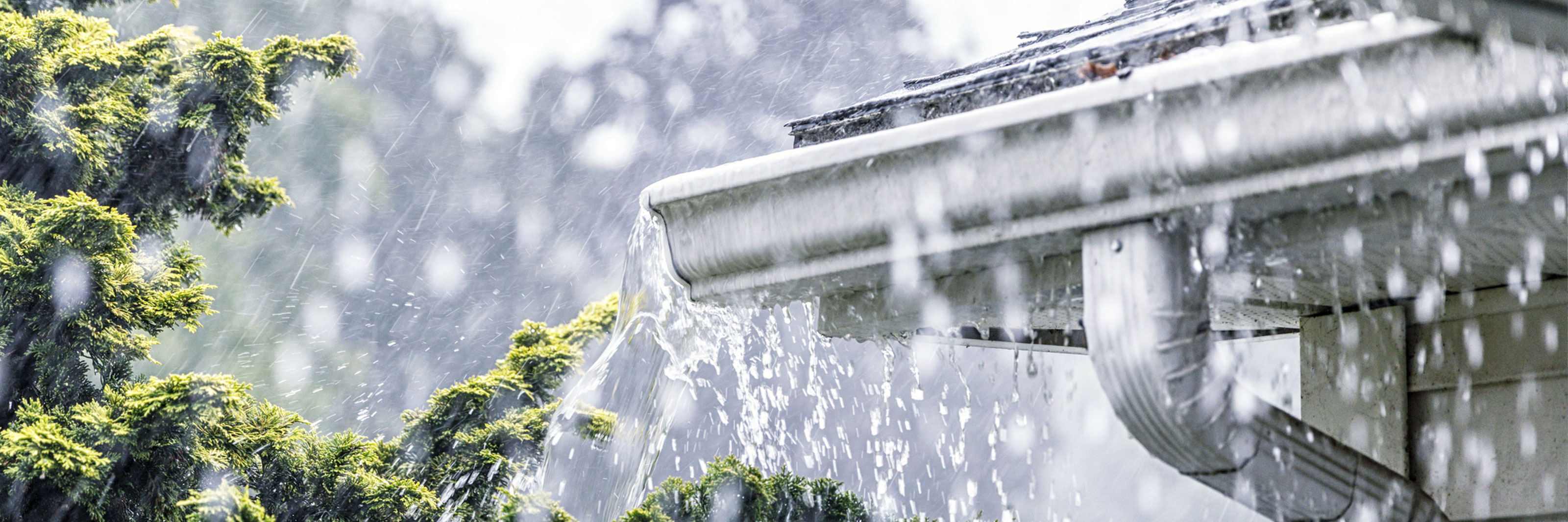 Inflow & Infiltration (I&I) - Madison Metropolitan Sewerage District